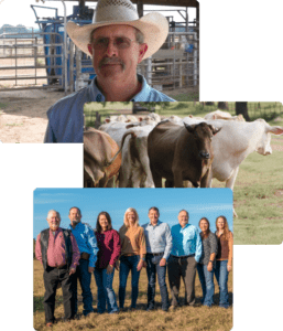 Cattle Management Software | Cattle Record Keeping | CattleMax