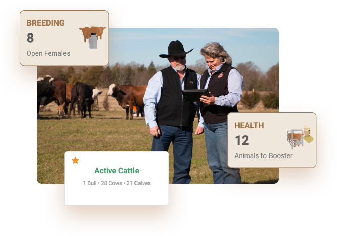 Cattle Management Software | Cattle Record Keeping | CattleMax