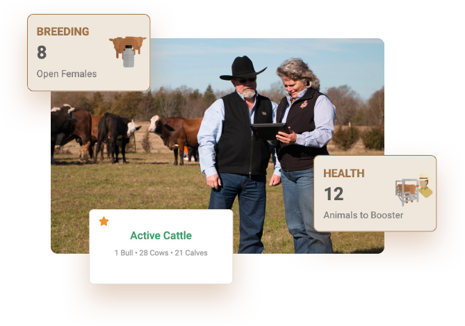 Cattle Management Software | Cattle Record Keeping | CattleMax