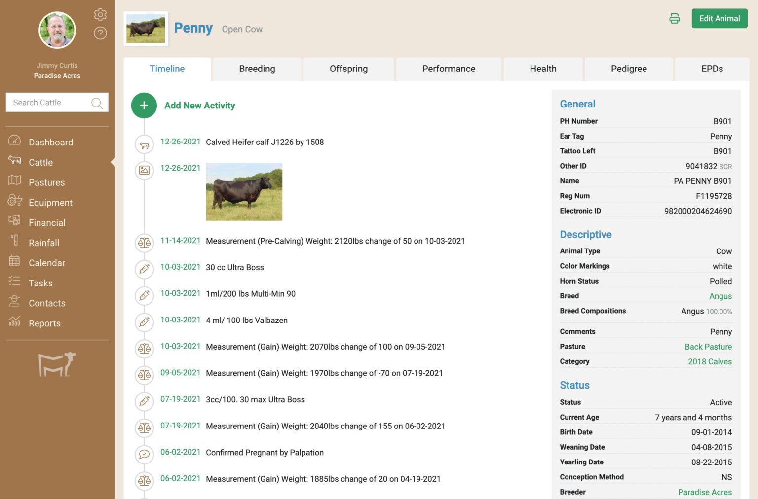 Record Keeping for Registered Cattle - CattleMax