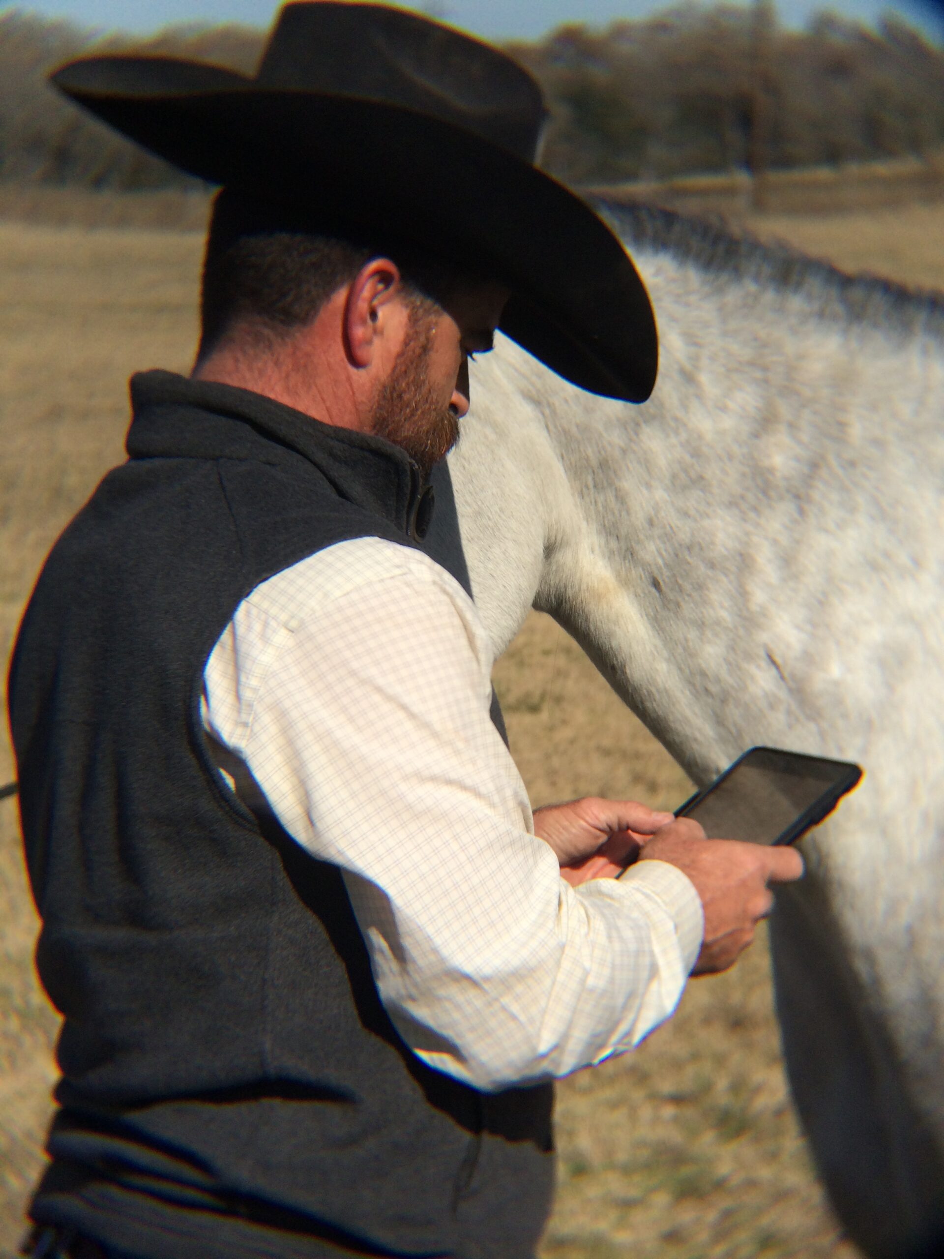 Cattle Inventory Records - CattleMax