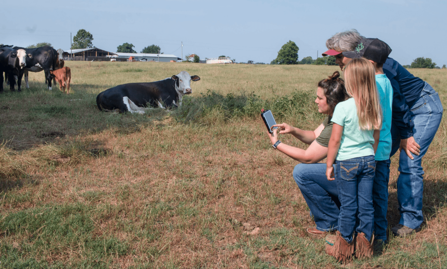 CattleMax 101 - CattleMax