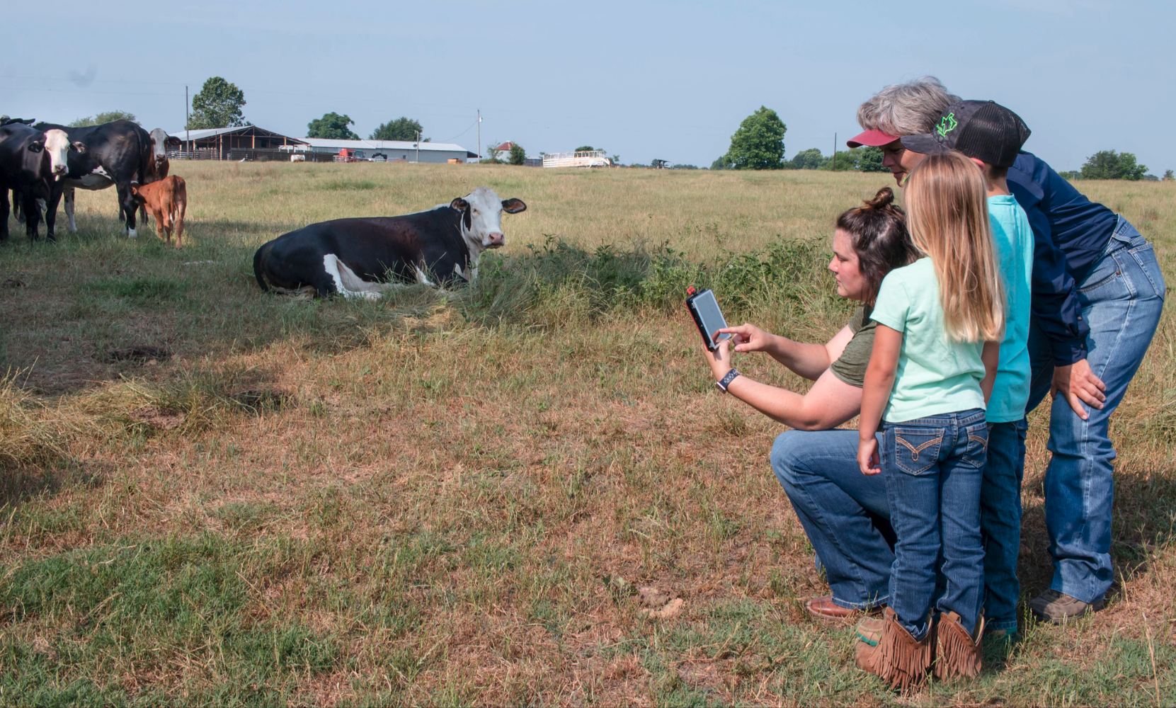 CattleMax 101 - CattleMax