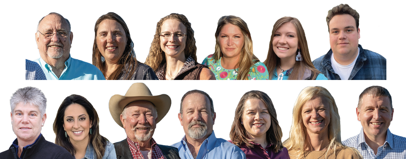 CattleMax 101 - CattleMax