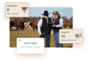 Cattle Management Software | Cattle Record Keeping | CattleMax