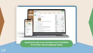 Cattle Gestation Chart: What is it, How to Use, and Benefits - CattleMax