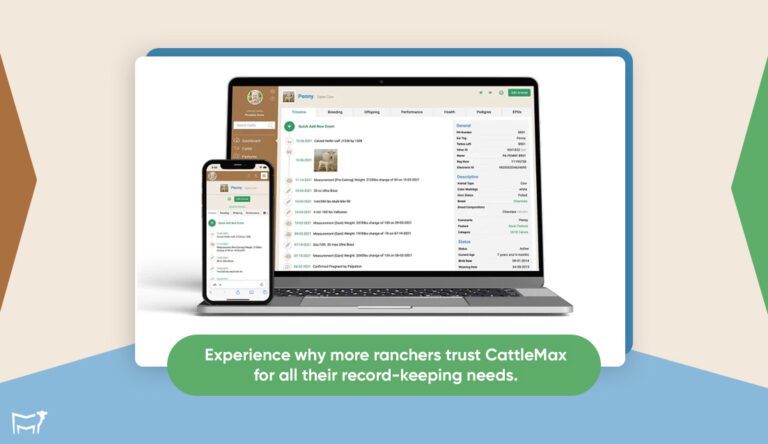 Cattle Gestation Chart: What is it, How to Use, and Benefits - CattleMax