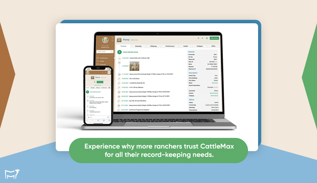 Cattle Gestation Chart: What is it, How to Use, and Benefits - CattleMax
