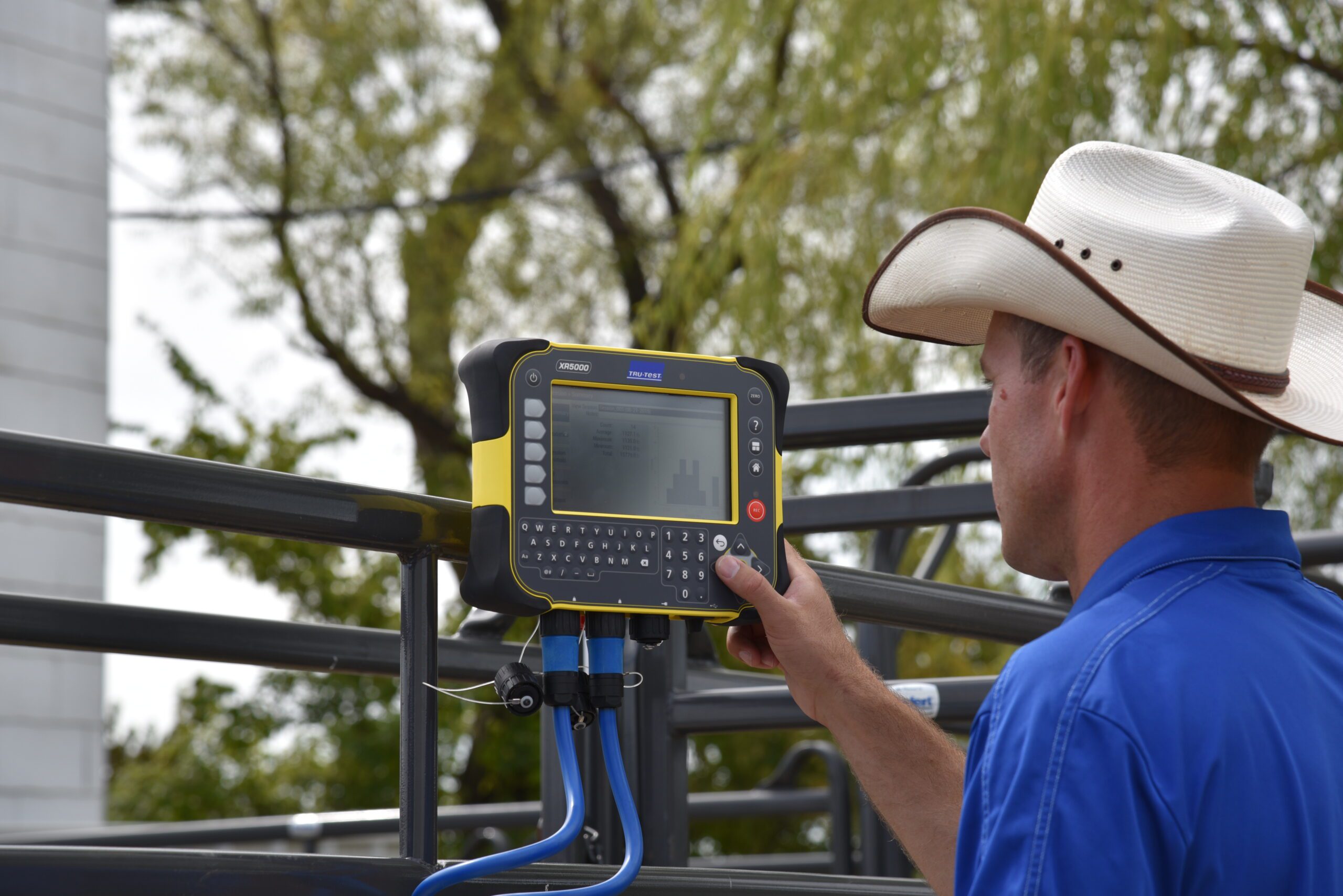 Datamars - CattleMax