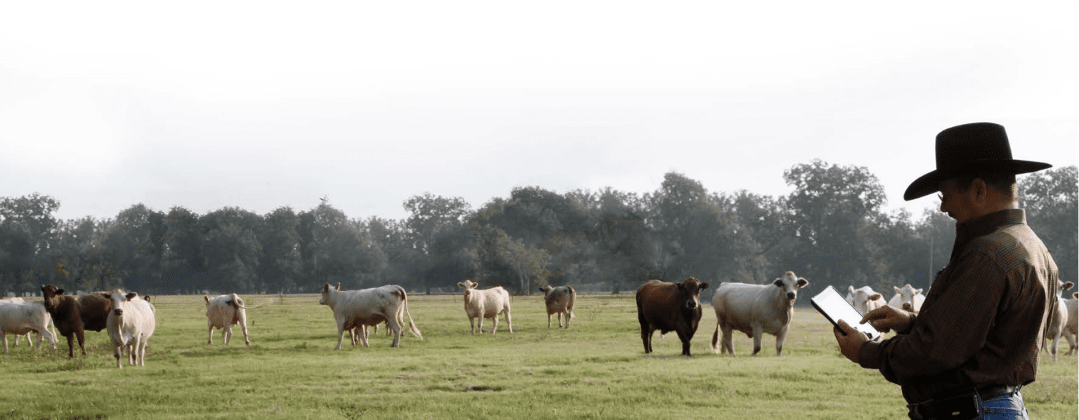 Cattle Calculators - CattleMax