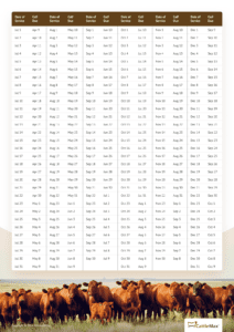 Cattle Gestation Calculator
