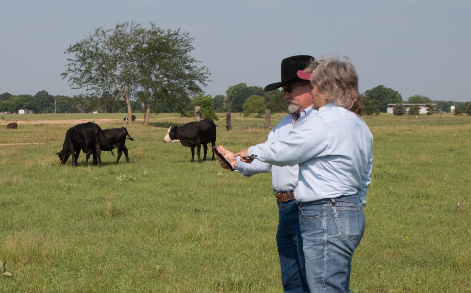 Get Started with CattleMax - CattleMax