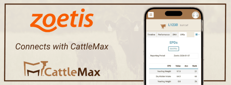 CattleMax Updates: Built for your day-to-day - CattleMax
